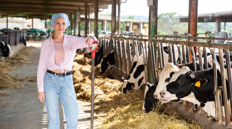 12 Different Types of Jobs on a Dairy Farm - CheddarDen