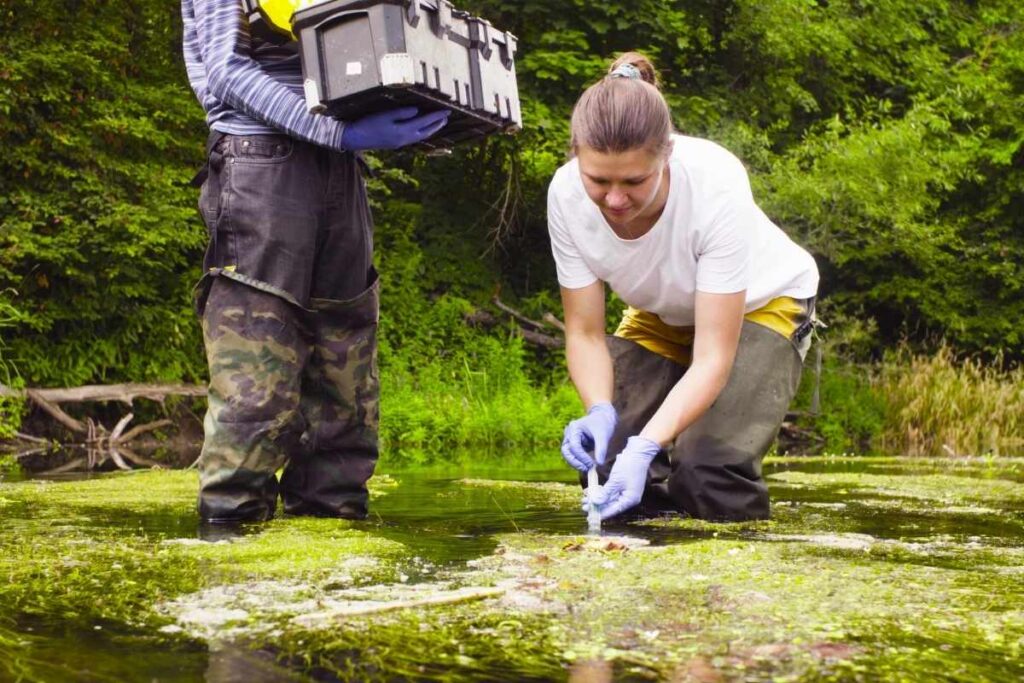 10 Jobs Similar to Park Ranger - CheddarDen